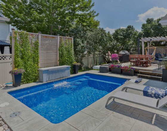 Swimming pools and spas - Swimming spas– Barracuda Piscines-Spas-Béton